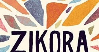 ZIKORA: MIXED REACTIONS ON CHIMAMANDA'S AMAZON SHORT STORY– Pawners ...