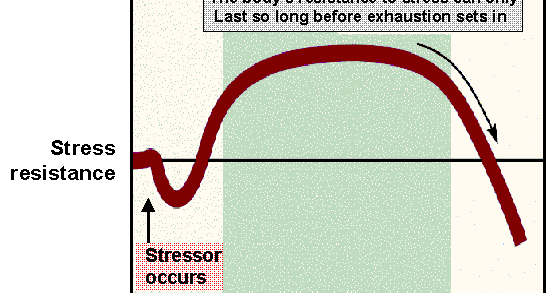 Stuart Stress Adaptation Model ~ Nursing Path