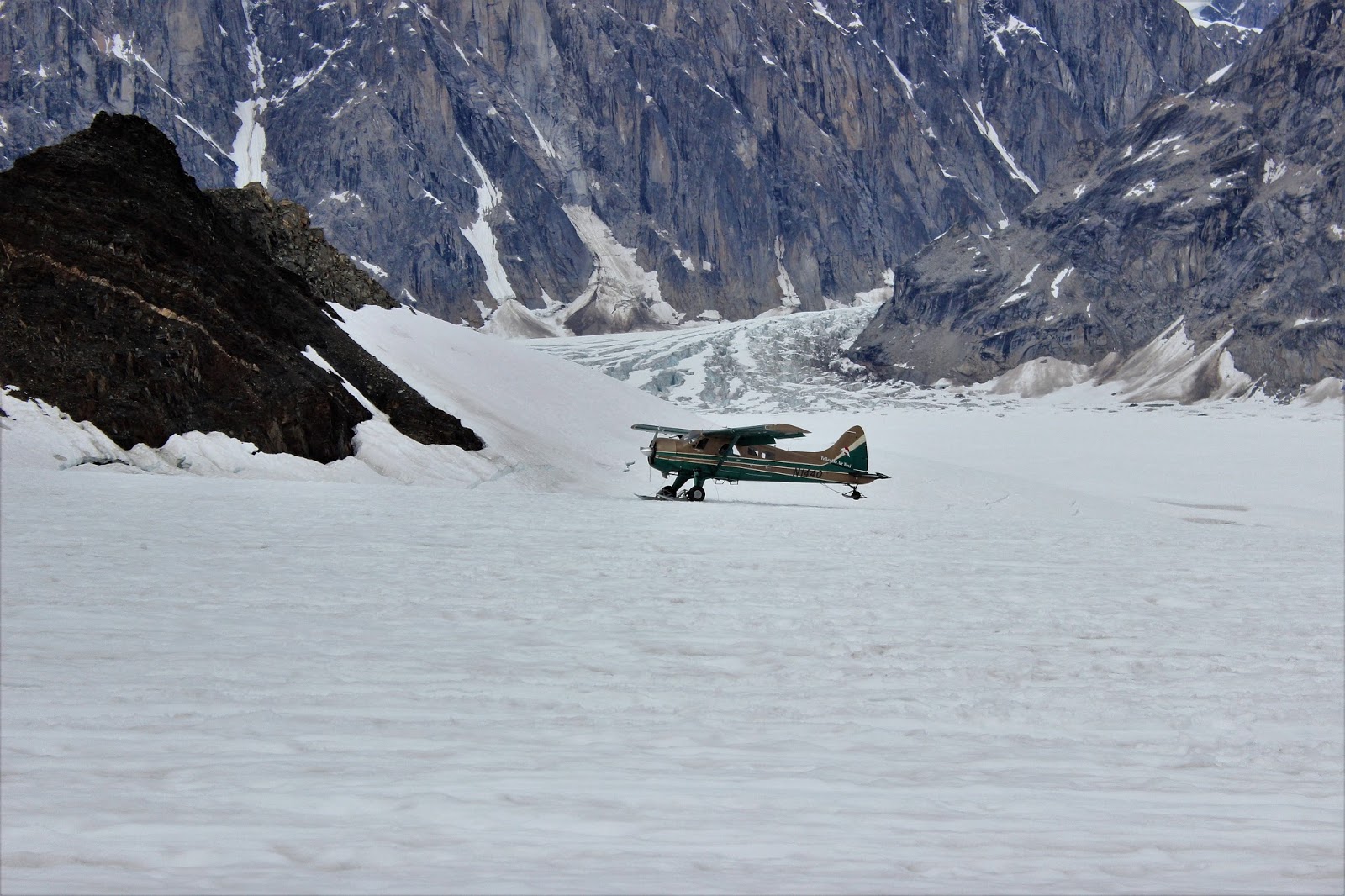 Souvenir Chronicles: ALASKA! TAKING A TAXI TO THE TOP OF DENALI AND ...