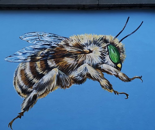 My Owl Barn: ATM Street Artist Paints Endangered Species to Spread ...