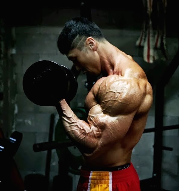 Daily Bodybuilding Motivation: Muscle Bodybuilder laneous Aesthetics