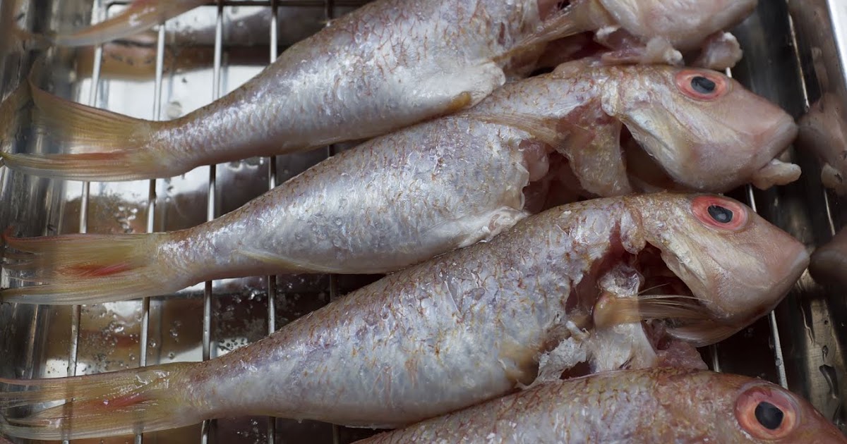 OISHII!: Small fish fry