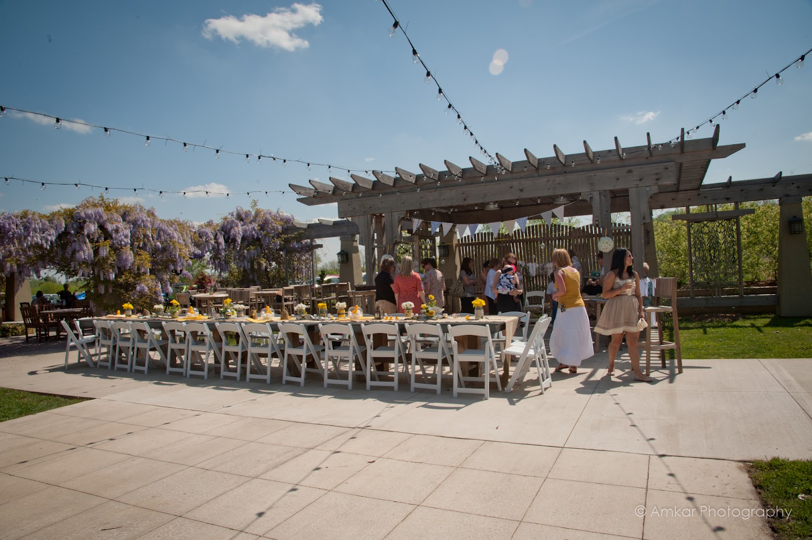 Running from the Law: Mac's Family Baby Shower