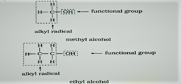 Alkyl group , Functional group and Homologous series