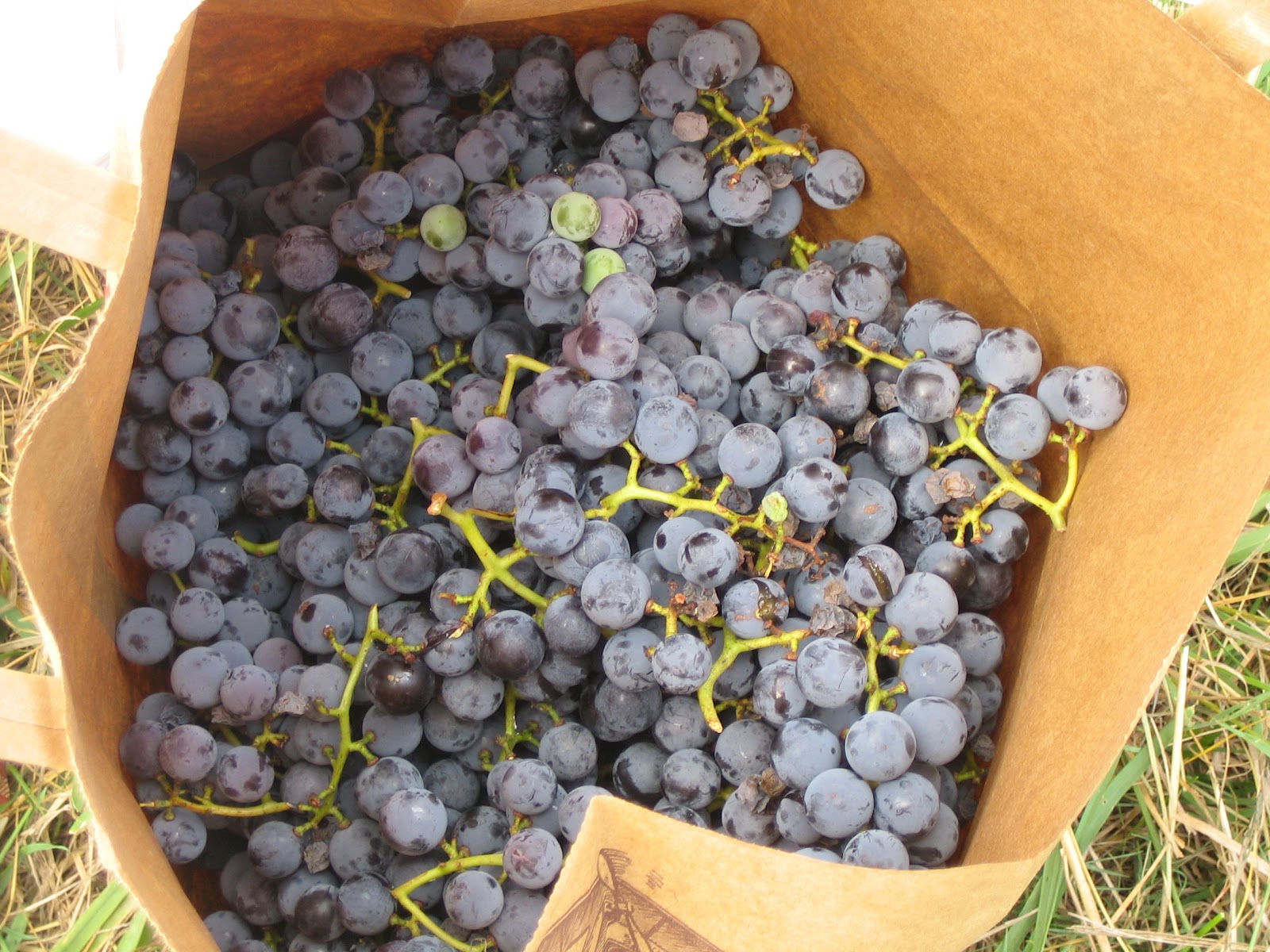 Feel LOVD Everyday: Goodbye Week. Hello Weekend. Lessons Learned: Take 62.