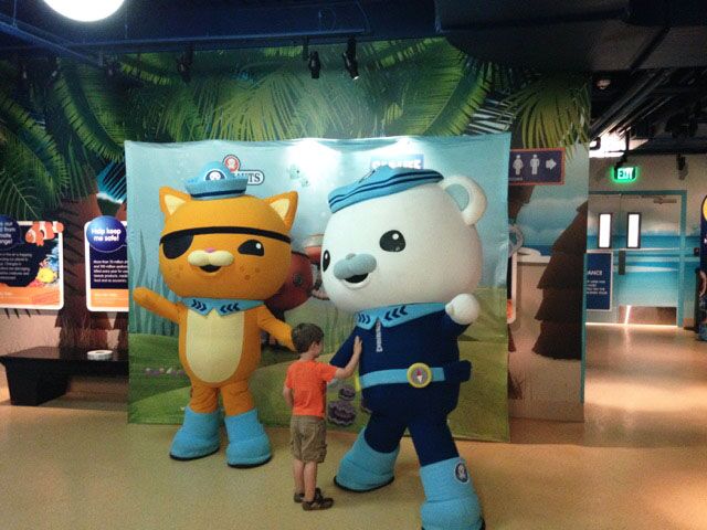 The Octonauts Sail in to SEA LIFE Aquarium! - Mommy's Block Party