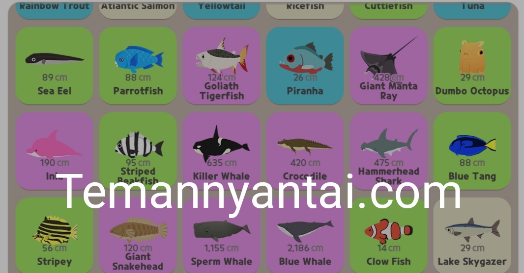 Tips for Fishing Rare Fish. Play Together Game Fish Appearing Time