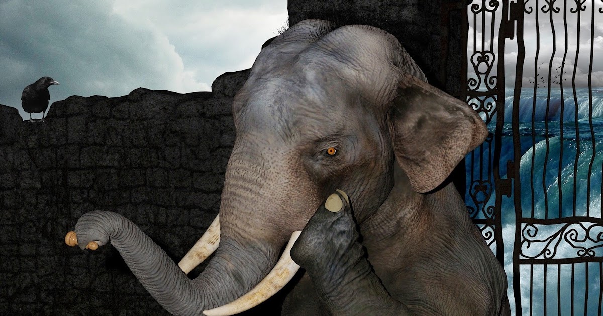 The Flyoverland Crank: 640 African Elephants Balancing on the Tip of a ...