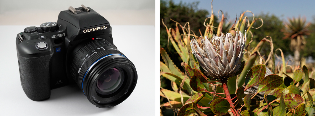 VideoPic Blog: Should I create my own Olympus Color Profile?