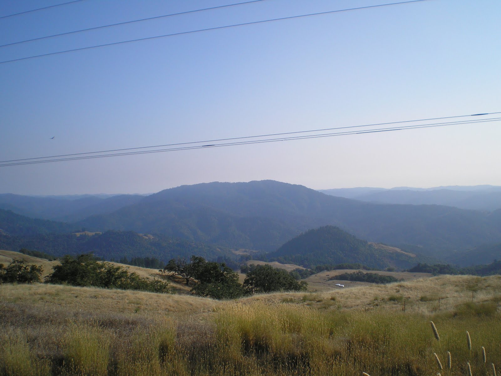 The Road Genealogist: Ruth Lake to Laytonville to Cleone, CA