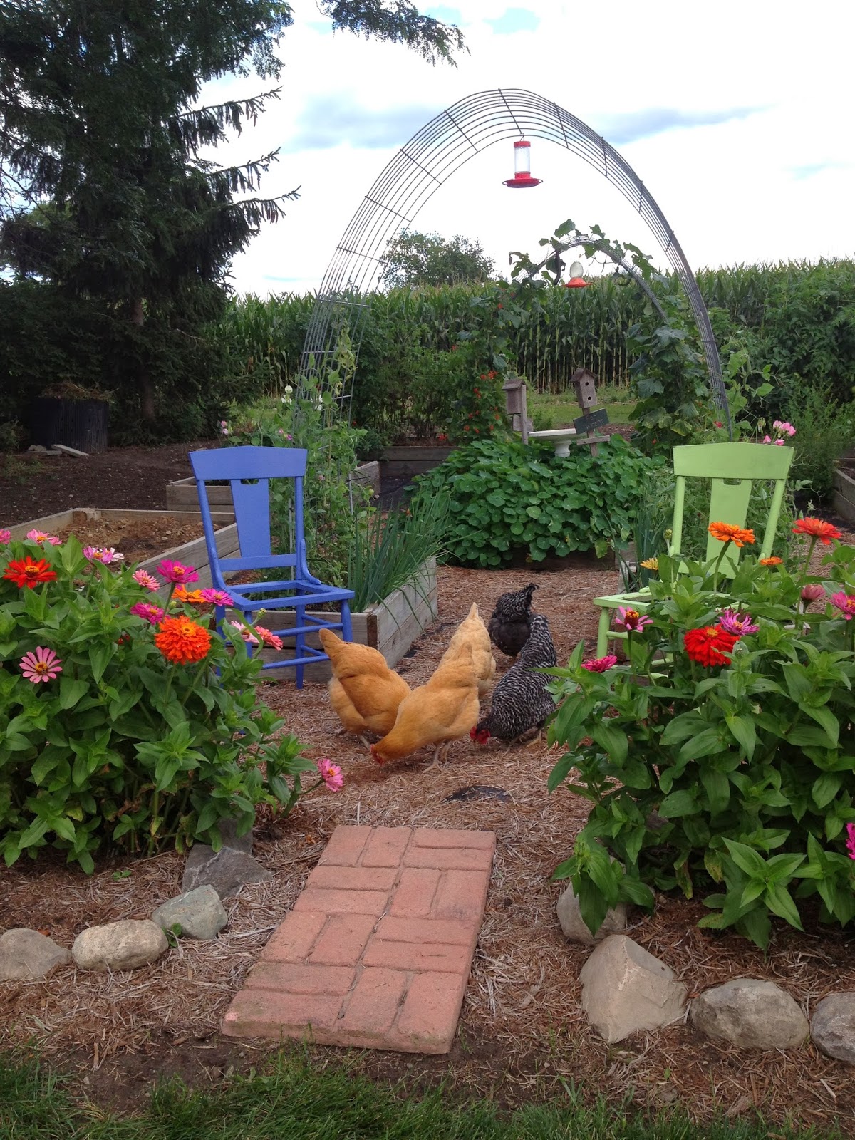 Two Men and a Little Farm: CHICKENS FLOWERS AND A GARDEN, INSPIRATION ...