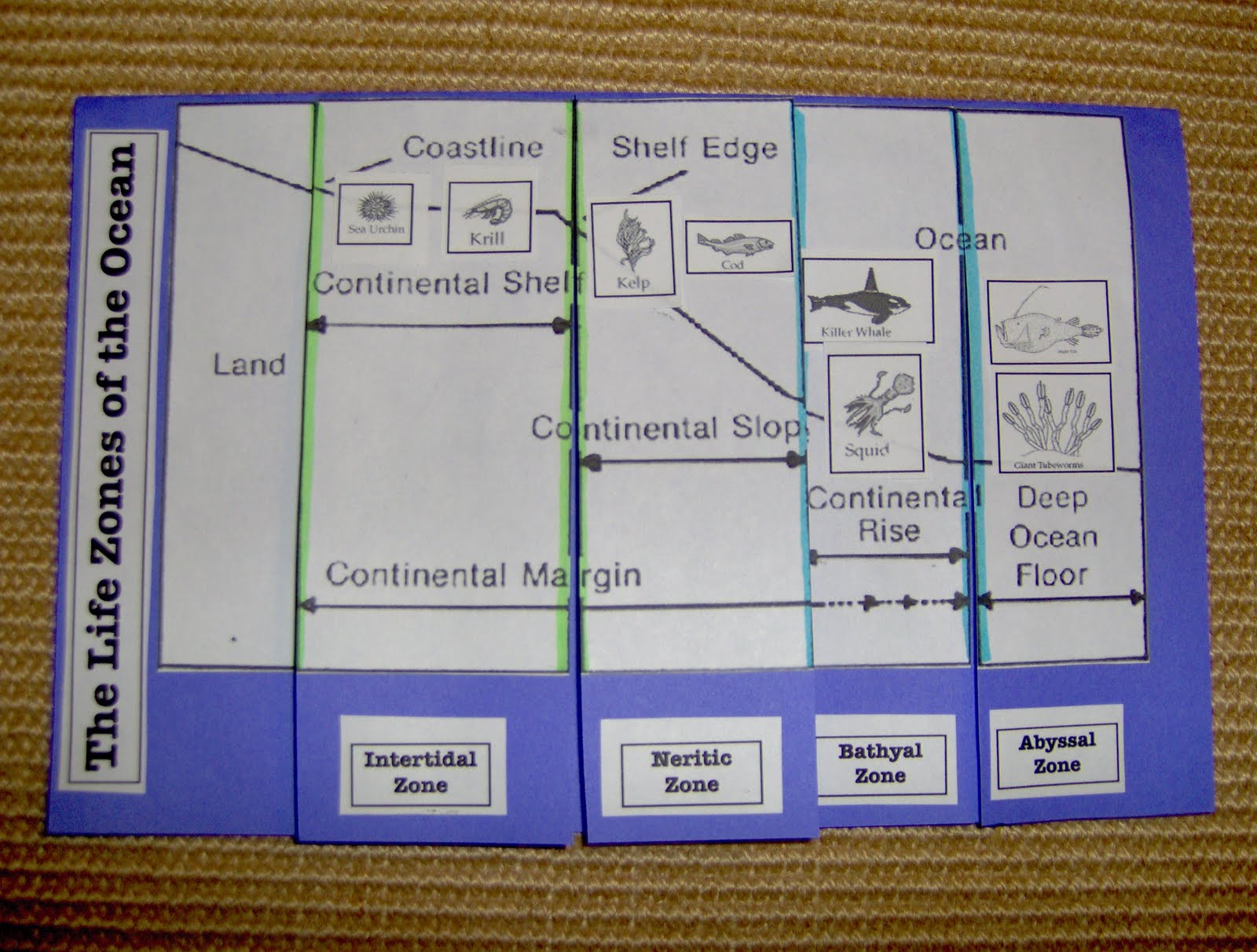 Bookish Ways in Math and Science: Unit Resource Portfolio: Oceans