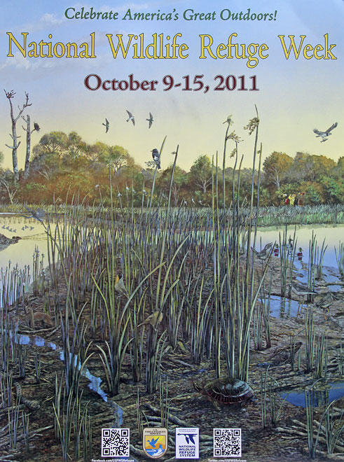 BIRDING with BINnS: #75 Conservation Tip: National Wildlife Refuge