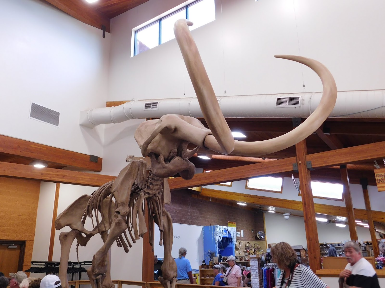 Visiting Mammoth Dig Site and Evan's Plunge