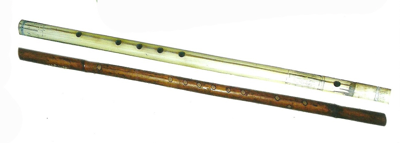 7 Traditional Musical Instruments of Bodo You May not Know - MyBodoland