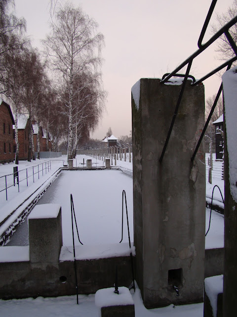 Auschwitz 2012: Auschwitz 1: The Swimming Pool