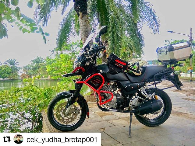 53 Foto Modifikasi Motor Tiger Revo Gaya Touring Terbaru