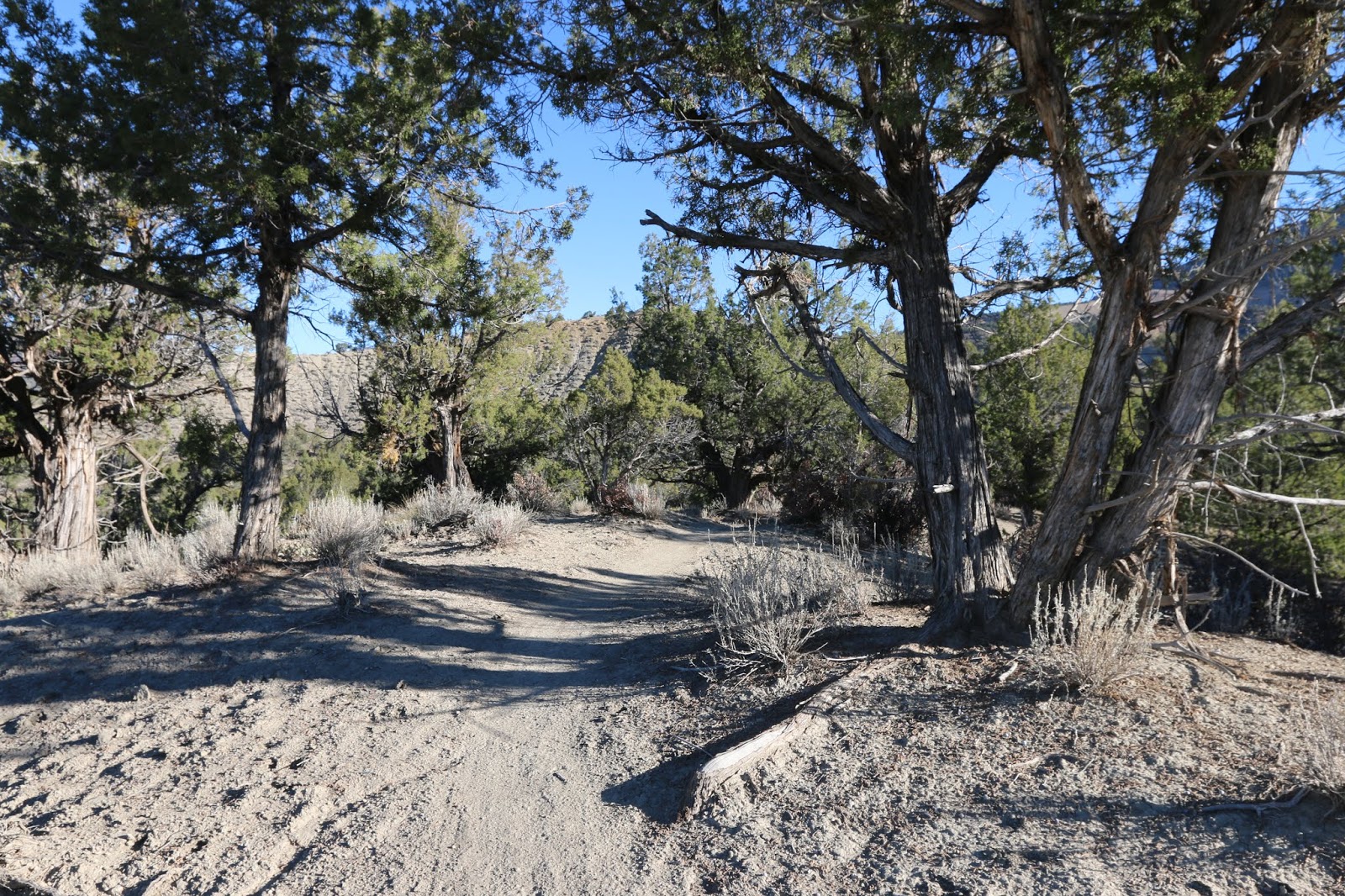 gjhikes.com: Horseshoe Ridge