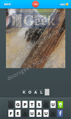 Zoomed In - Photo Word Game Level 126 ~ Doors Geek