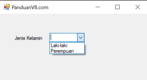 MEMBUAT COMBOBOX / DROPDOWN TANPA DATABASE - Panduan Visual Studio