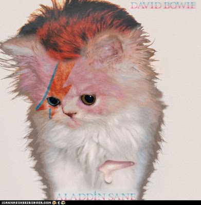 Kucing-kucing Lucu menjadi Cover Album Rock Classic - ROCKSOUNDCORE