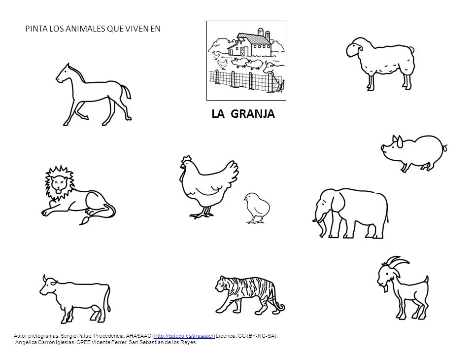 EN LA ESCUELA CABEN TOD@S: RECURSOS EDUCATIVOS para trabajar LOS ...