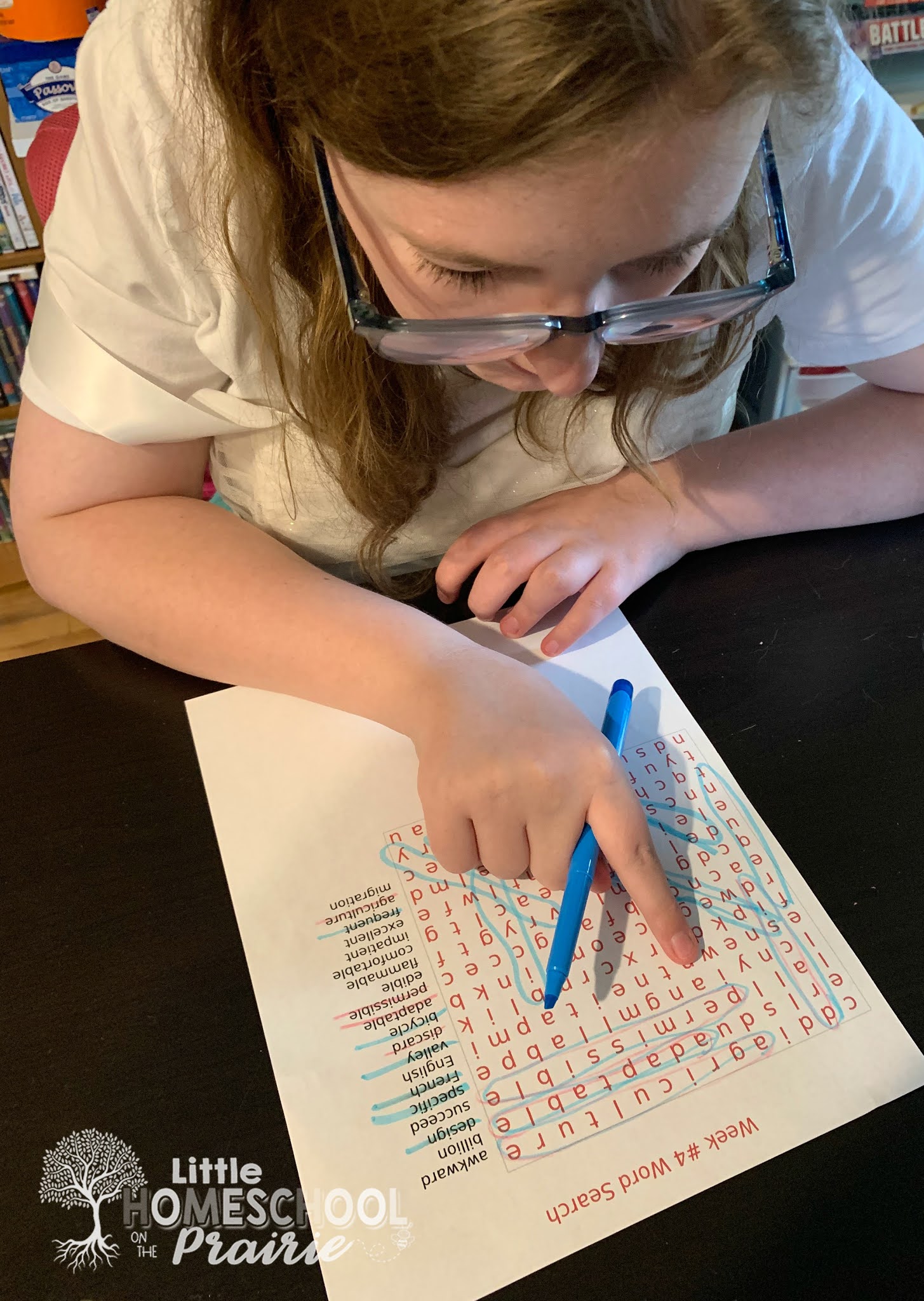 Little Homeschool on the Prairie: Homeschool Easy Review