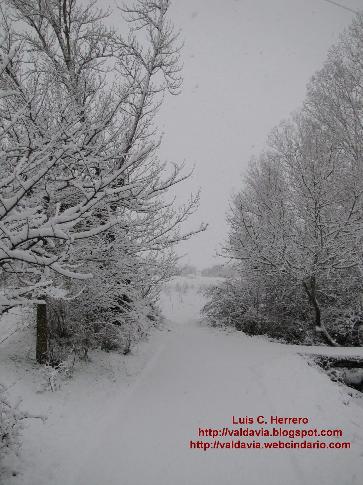 Naturaleza de la Valdavia: Paisajes de la Valdavia, invierno