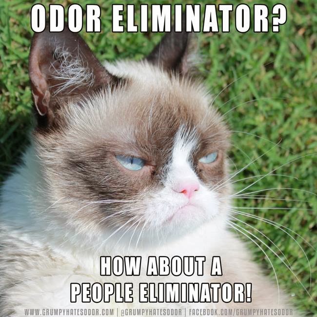 DIY Vintage Chic: Top Ten Tuesday ~ Grumpy Cat ~ No. 50