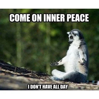 40+ Hilariously Funny Yoga Memes