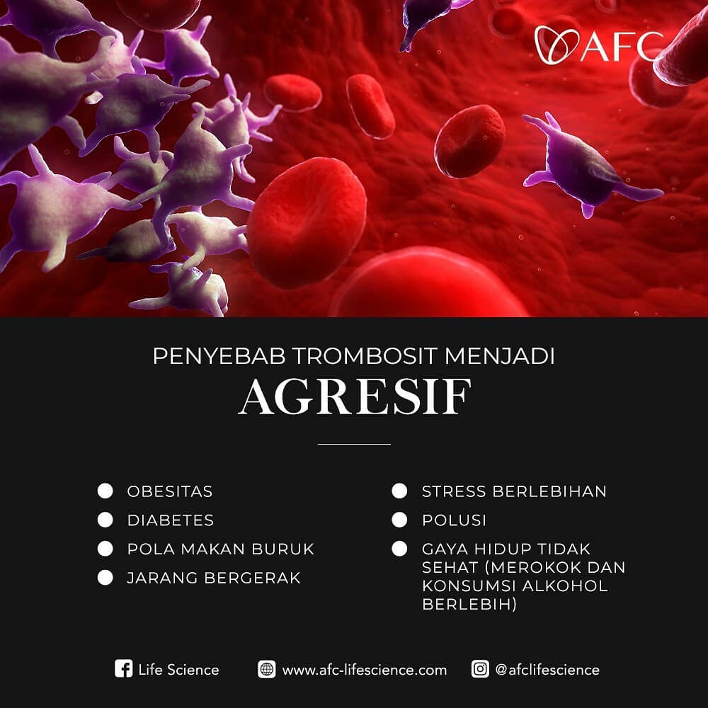 SOP SUBARASHI, UTSUKUSHHII, SOP 100+ dan SENSEI SURU AFC: SOP SUBARASHI