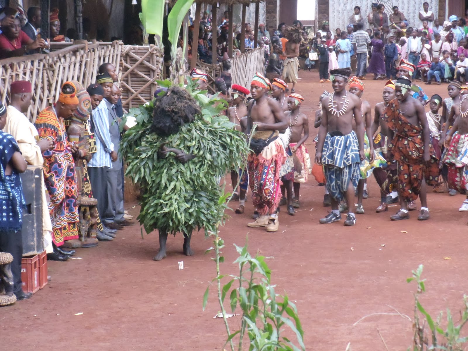 KAYE IN CAMEROON: LIFE IN THE NORTHWEST