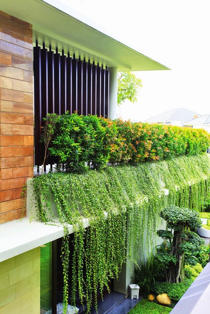 Vertical Garden | Taman Vertical Garden | Jenis Tanaman Vertical Garden