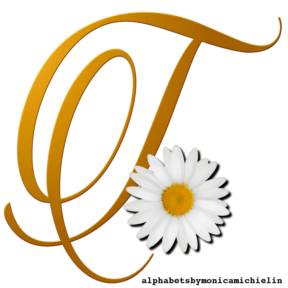 M. Michielin Alphabets: YELLOW ALPHABET DAISY PNG