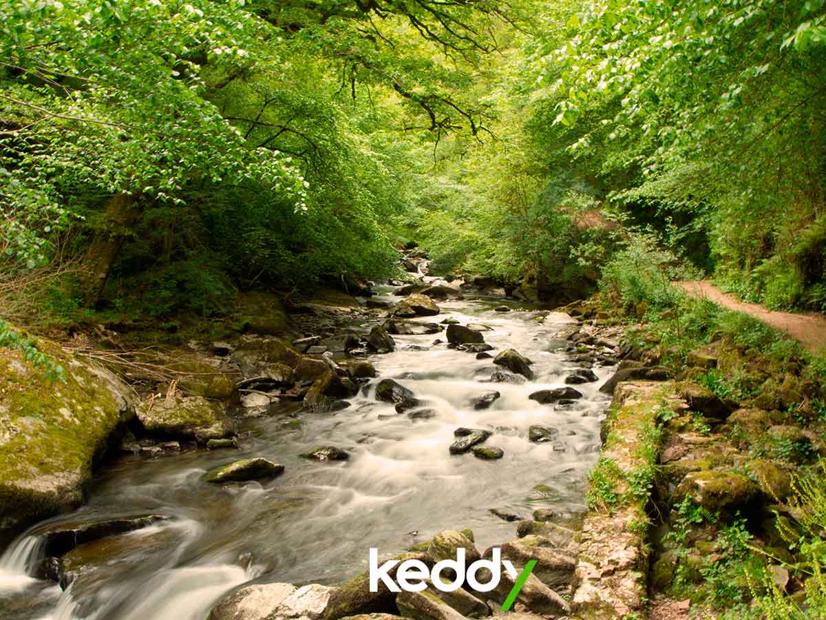 Keddy México: Agua Selva, Tabasco: Una auténtica aventura en la jungla