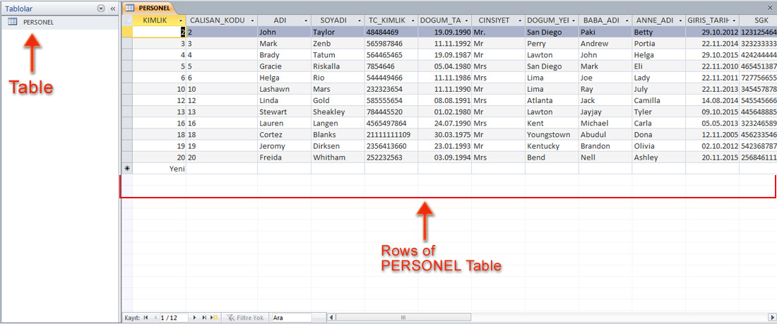 Access Database Management With Excel Userform New Ideas For Computer And Software