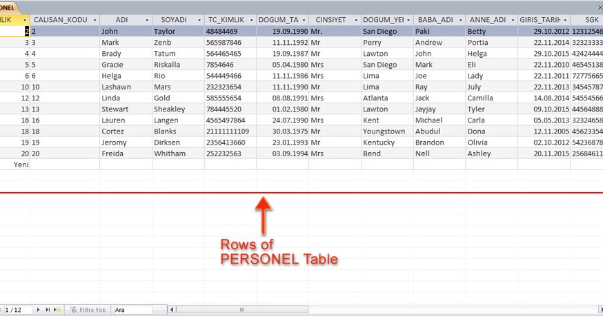Access Database Management With Excel Userform | New Ideas For Computer ...