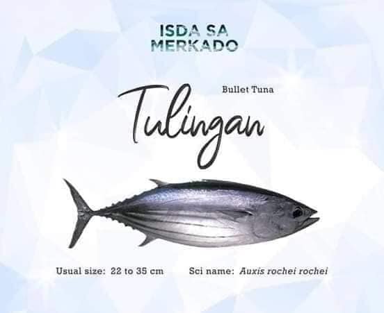 Ibat-Ibang Klase ng Isda at Iba Pang Laman-Tubig na Karaniwang Mabibili sa Palengke sa Pilipinas ...