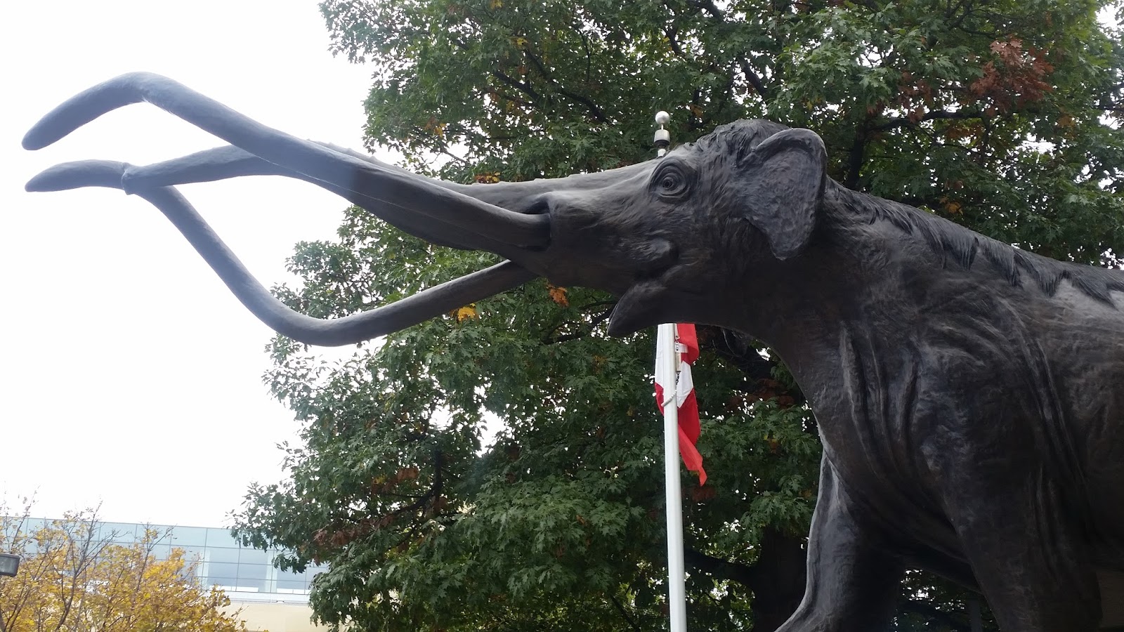 Pinup Adventures: Morrill Hall