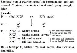 Pengertian gen resesif - pengertian