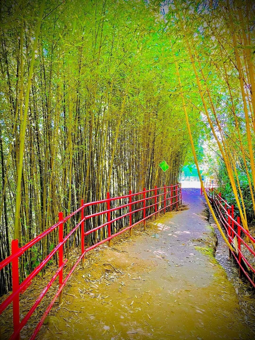 Welcome to Little Kyoto, Japan in Baguio City ~ WowCordillera