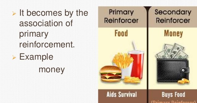 Learned Industriousness Theory and secondary reinforcement post #3