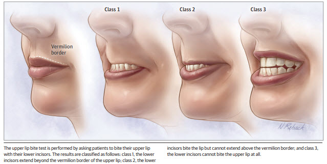 Orion Cardiology, PLLC : 2019-09-29