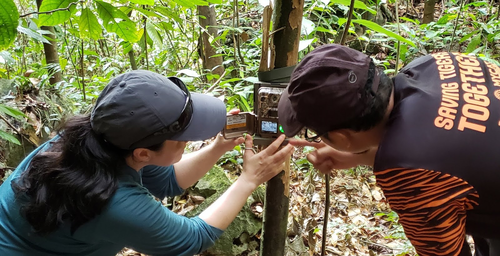 We Are All Tiger Keepers