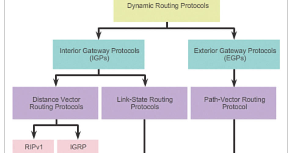 What Is Routing Protocol The Network Dna