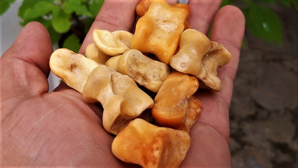 notas cordobesas: LAS TABAS COMO EMPEDRADO Y UN JUEGO MILENARIO