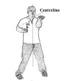 Snake Crane Wing Chun: Snake Crane Wing Chun Sil Lim Tau stance