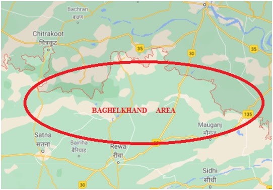 Baghelkhand princely state fiscal court fee /revenue stamp