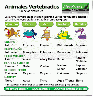 Recursos Educativos de Primaria: Unidad 5 de Ciencias de la Naturaleza ...