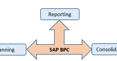 BPC/SFIN/IBPF: SAP BPC Overview and Introduction